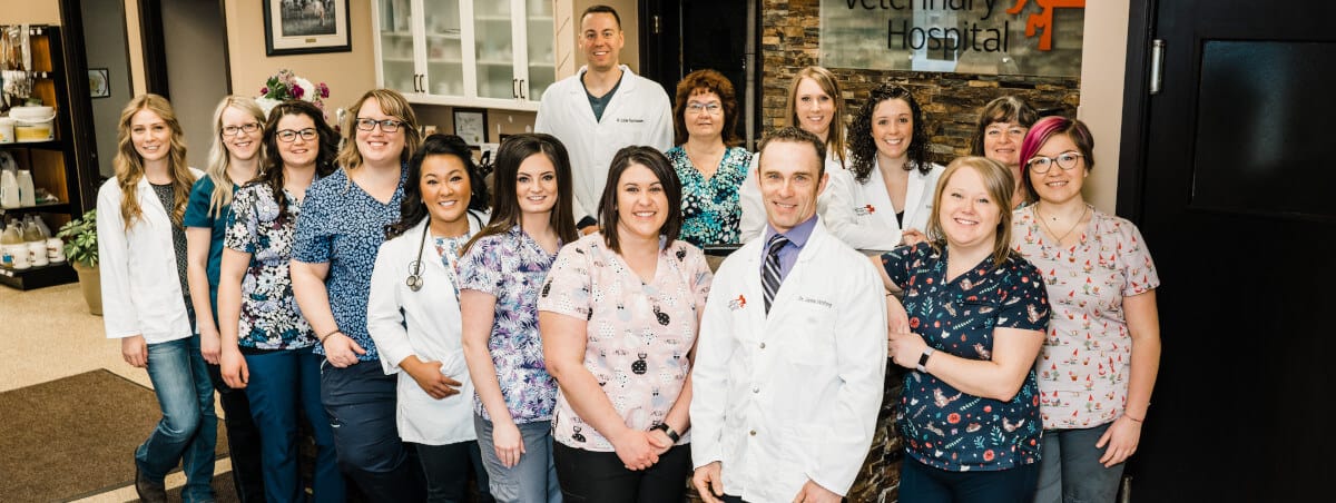 Camrose Alberta Veterinarian | Camrose Veterinary Hospital