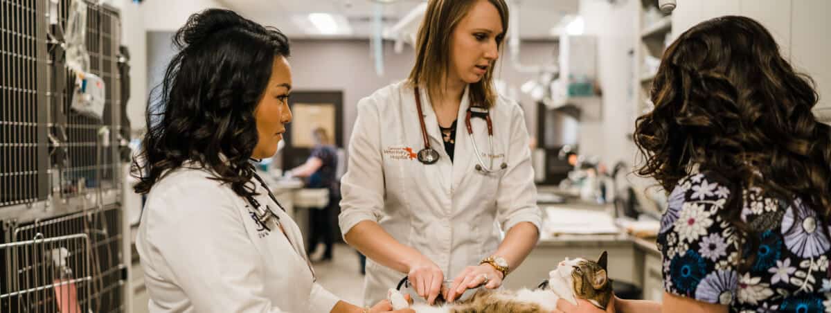 Camrose Alberta Veterinarian | Camrose Veterinary Hospital