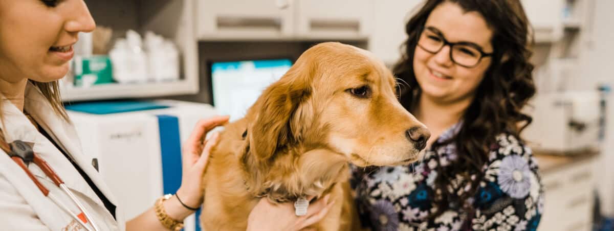 Camrose Alberta Veterinarian | Camrose Veterinary Hospital